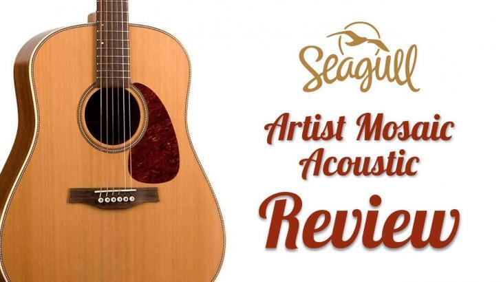 Seagull Artist Mosaic Acoustic Review